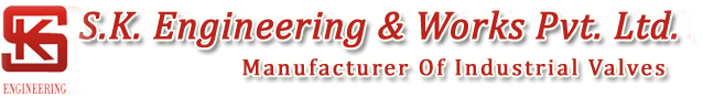 S. K Engineering & Worls Pvt Ltd